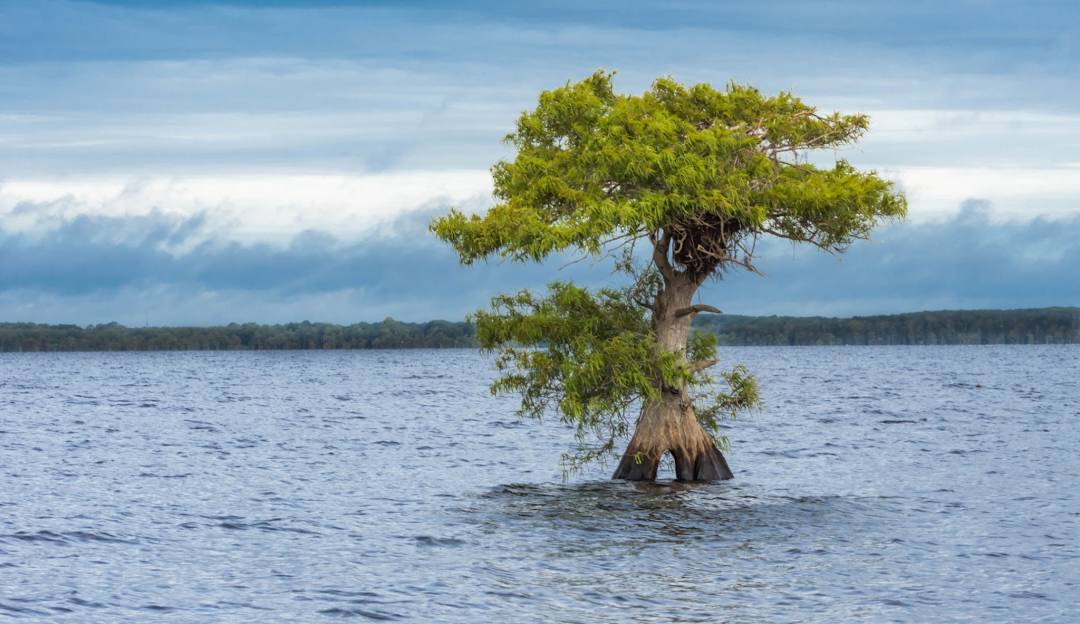 Boating on Blue Cypress Lake, Florida | Recademics™