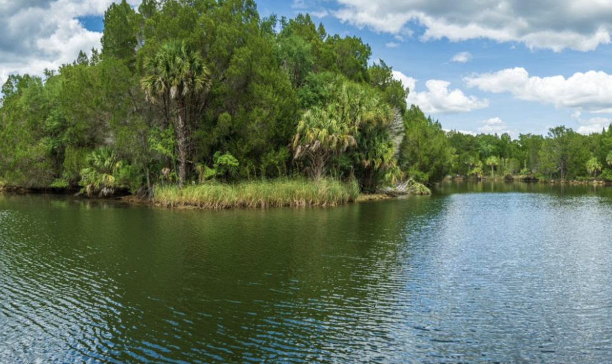 Boating on Crystal River, Florida | Recademics™