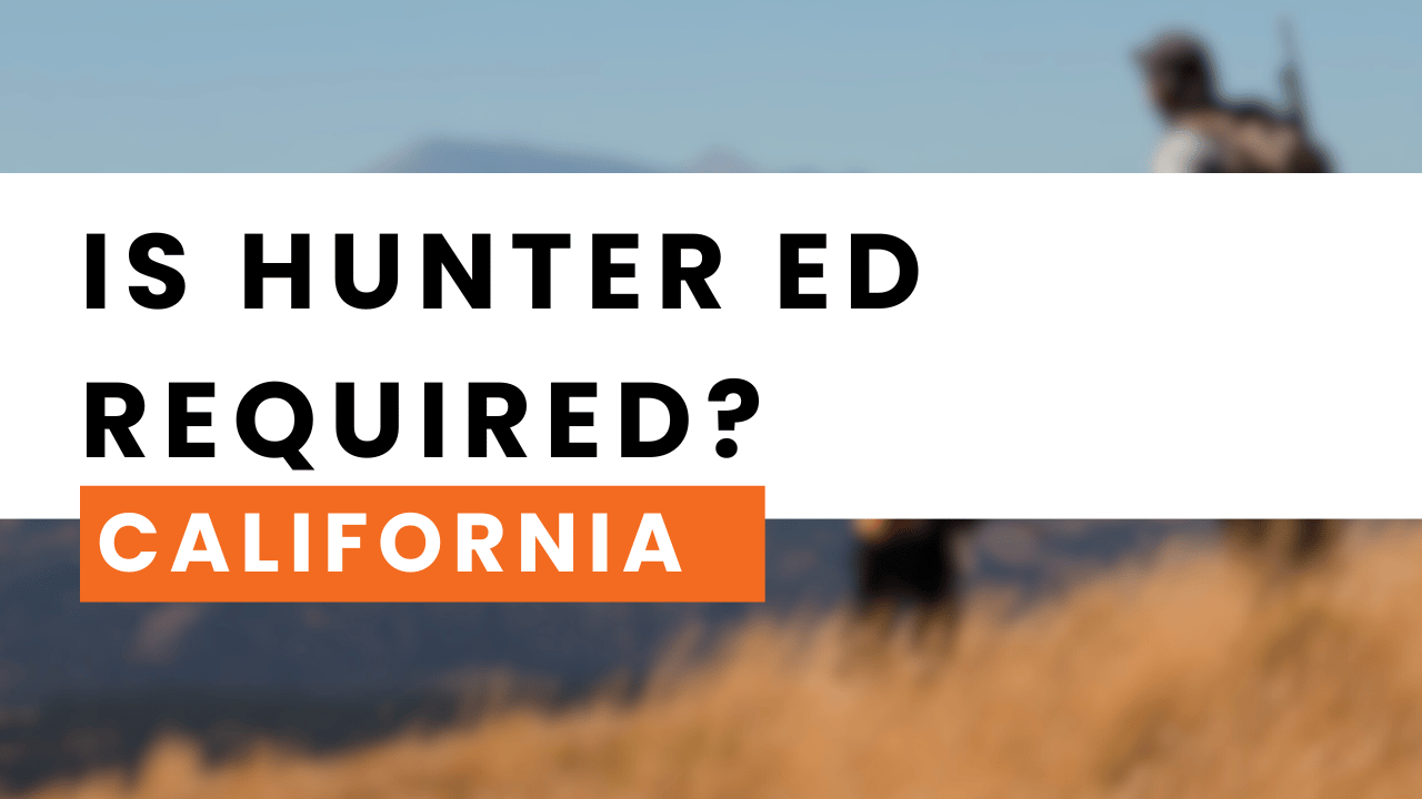 Is Hunter Education Required in California?