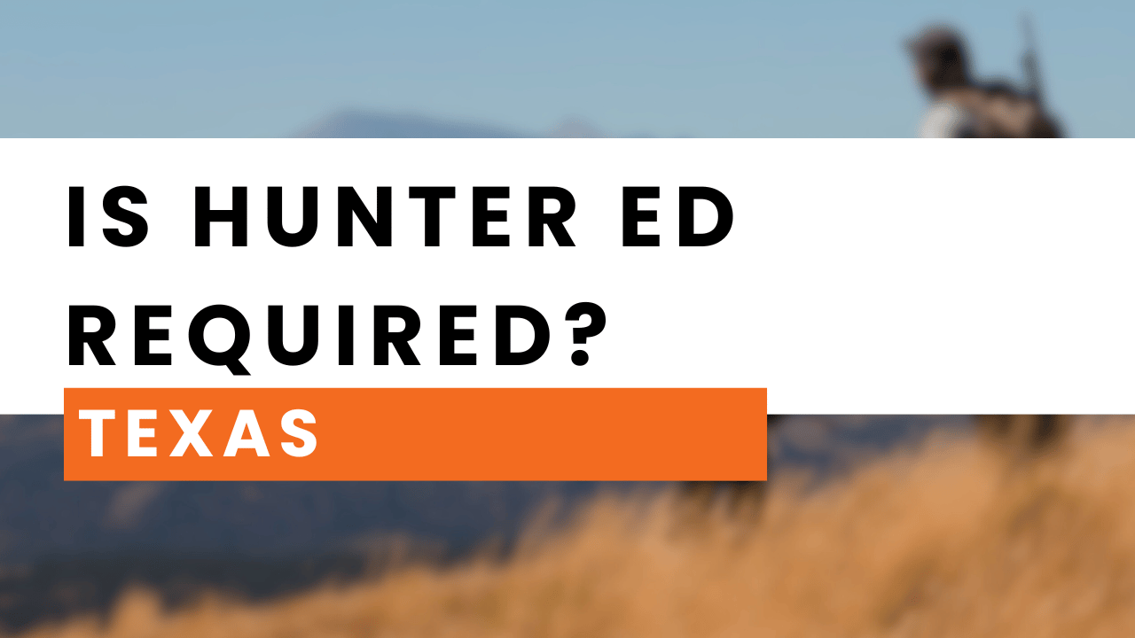 Is Hunter Education Required in Texas?